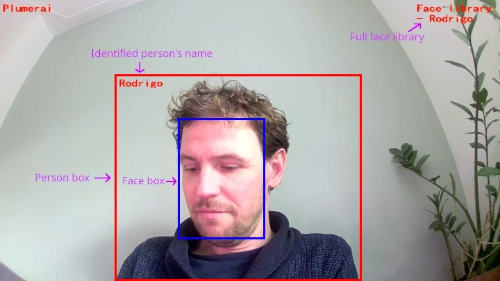 Demo on Realtek Ameba Pro2 - Plumerai Docs